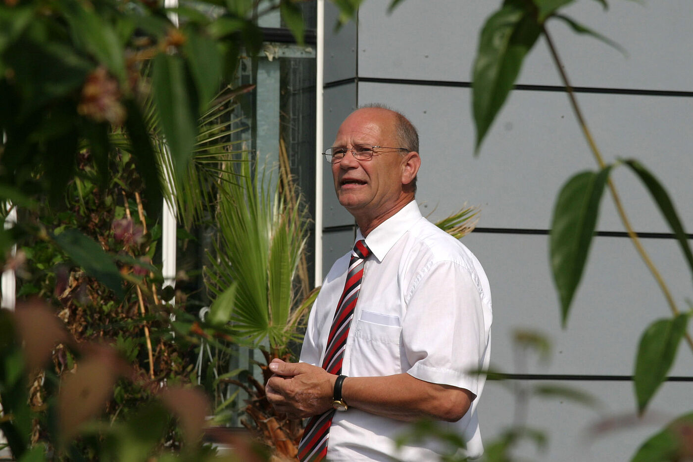 Meeresgeschenk Seegras zur Wismarer Kinderuni - Hochschule Wismar ...